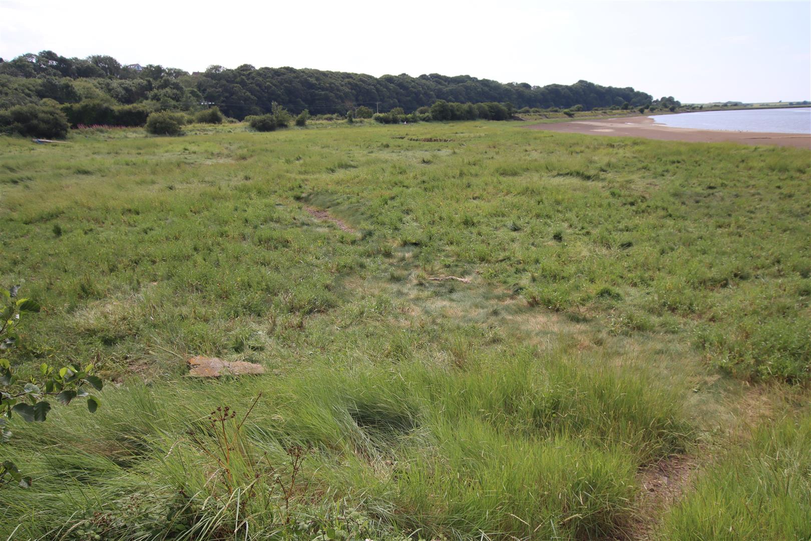River Taw, Barnstaple - Phillips Smith and Dunn